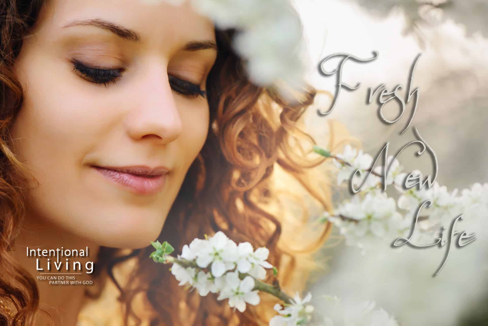 Fresh New Life - Alive and Active Life