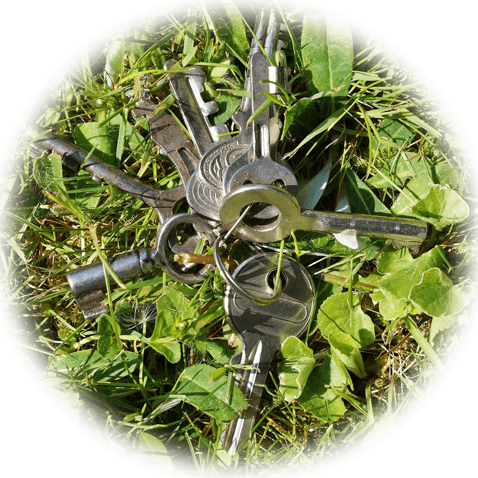 Your 3 Most Important Keys - Alive and Active Life