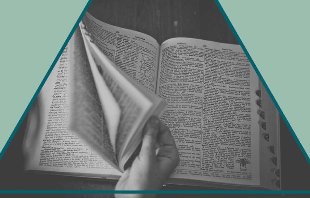 Established - Alive and Active Life