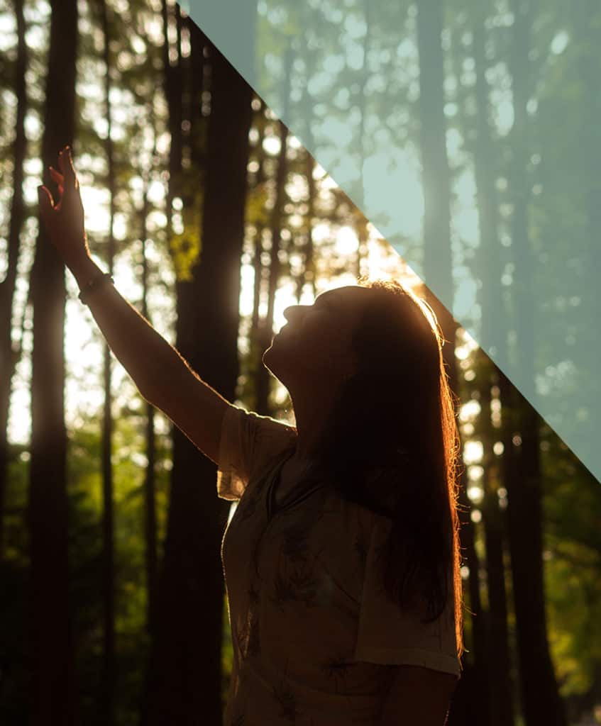 Reach Back - Alive and Active Life