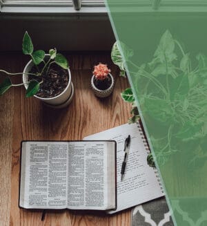 Life Resources and Tools - Alive and Active Life