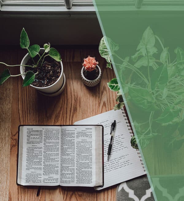 Life Resources and Tools - Alive and Active Life