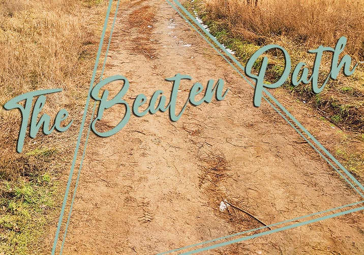 Four Soils of the Heart - Alive and Active Life