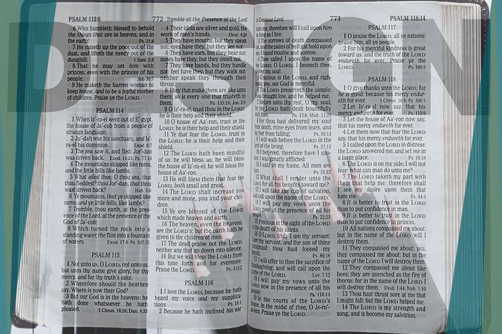 Motives Matter - Alive and Active Life