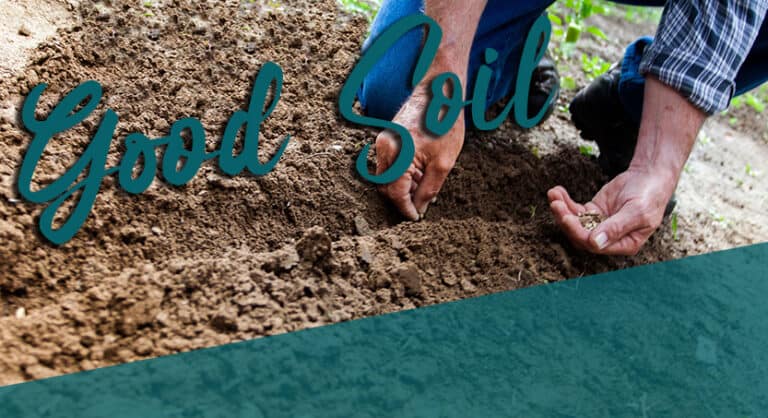 Four Soils of the Heart - Alive and Active Life