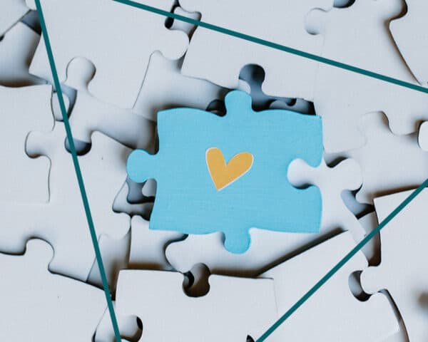 Your Small Piece of the BIG Life Puzzle - Alive and Active Life