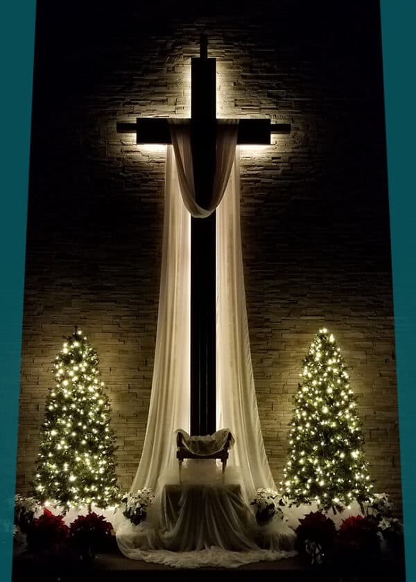 Christmas In A Nutshell - Alive and Active Life