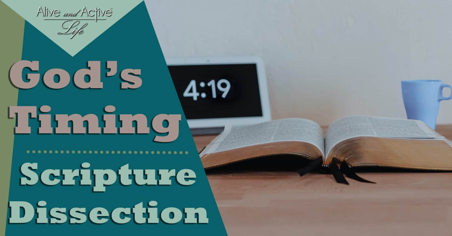 God's Timing - Scripture Dissection - Alive and Active Life