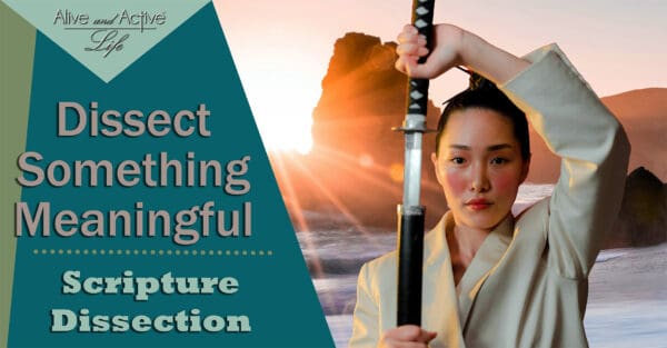 Dissect Something Meaningful - Scripture Dissection - Alive and Active Life